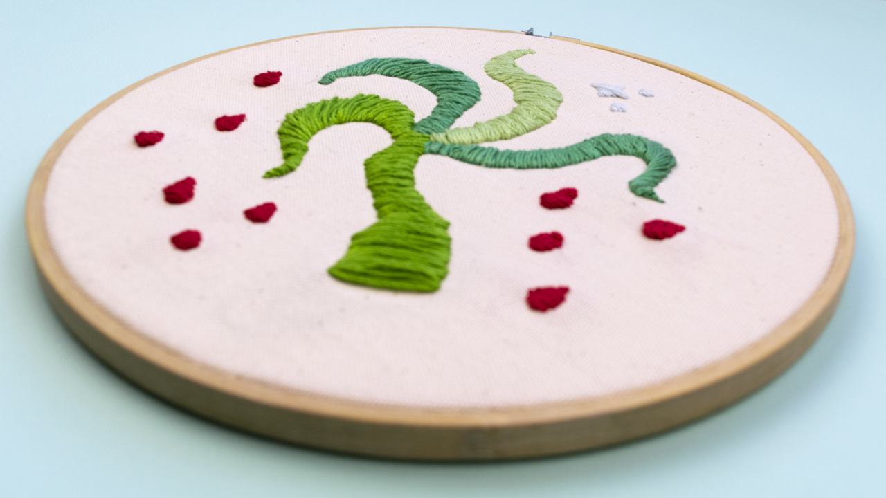 Arthur Plateau — Broderies